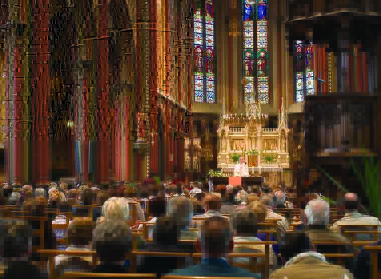 Ampetronic Perimeter loop and boundary loop systems