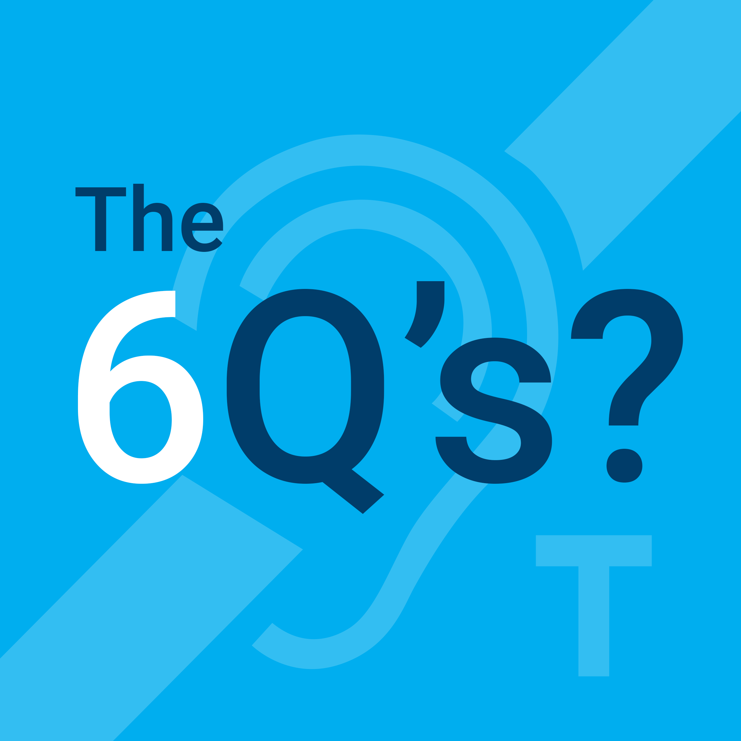 The 6 Q's - Ampetronic